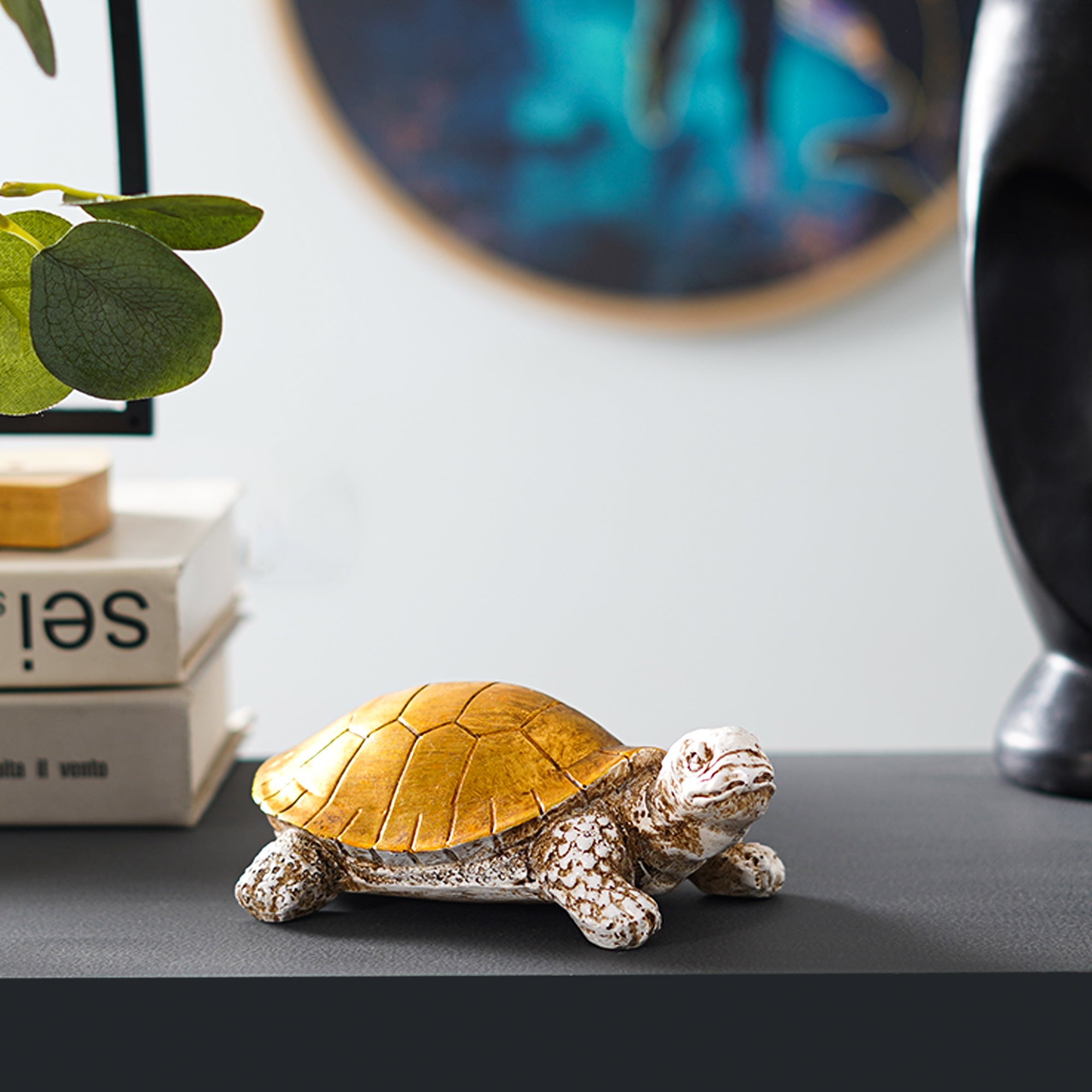 Feng Shui Shell – The Artment